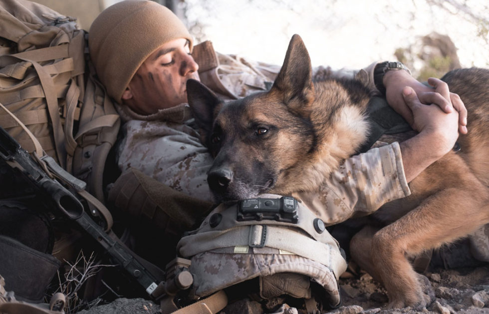 Millitary Dogs and Handlers - National Service Animals Monument